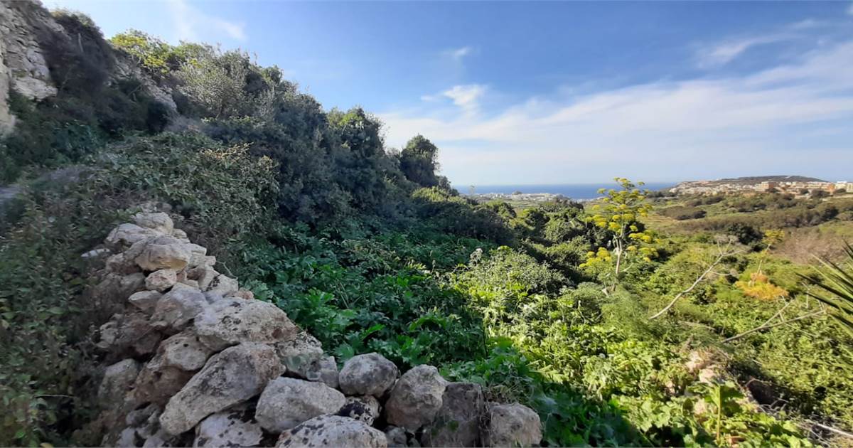 Agricultural Field for sale in Xaghra Gozo